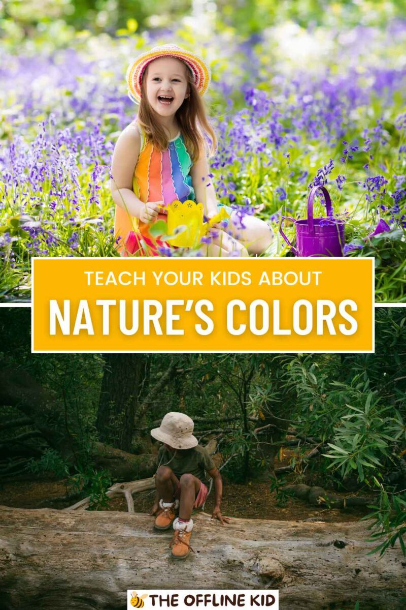 Learn About Colors in Nature With Your Kids!