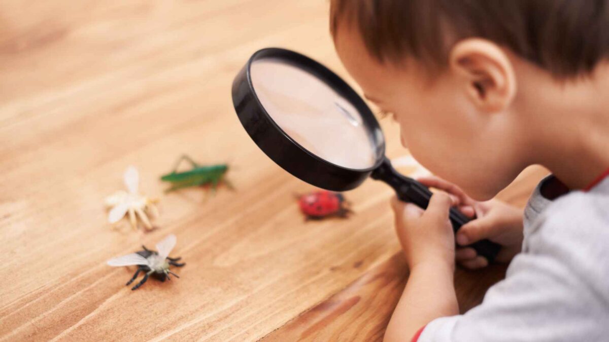 17 Bugs For Your Kids To Find in Your Yard