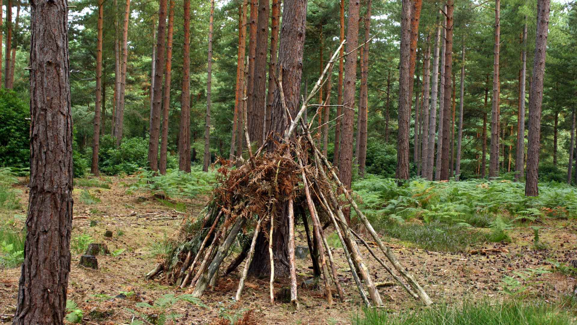 18 Outdoor Survival Skills For Kids