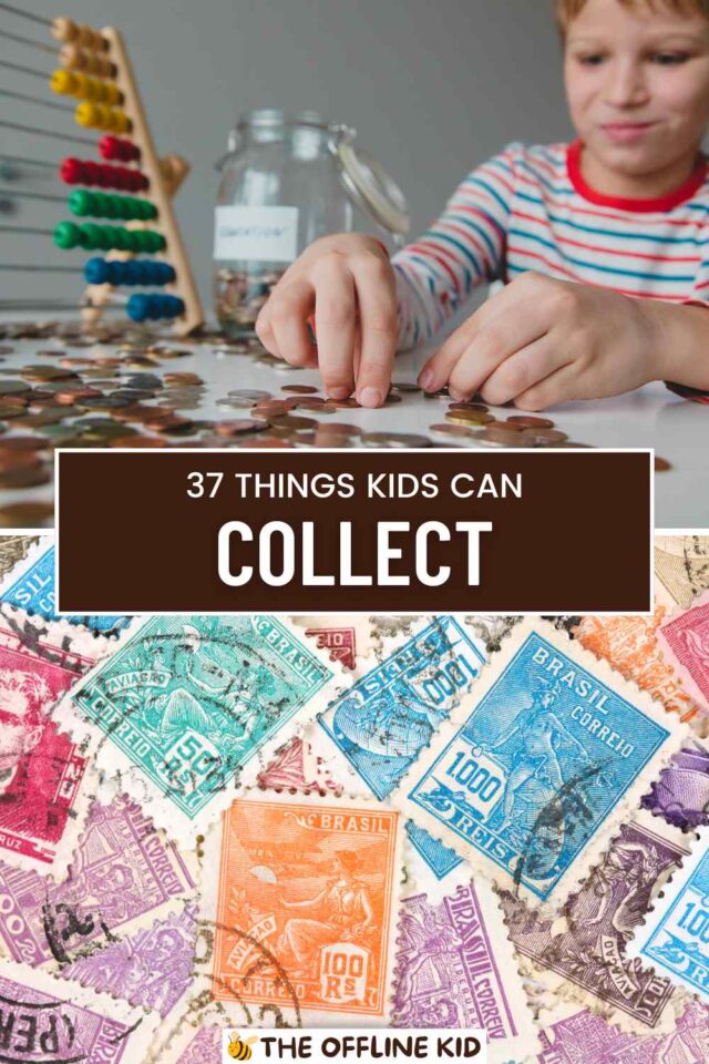 37 Different Things Kids Can Collect Starting Today!
