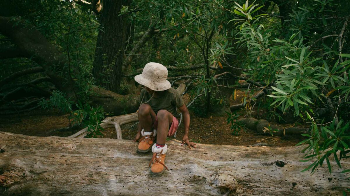 Making Instruments Out of Things in Nature